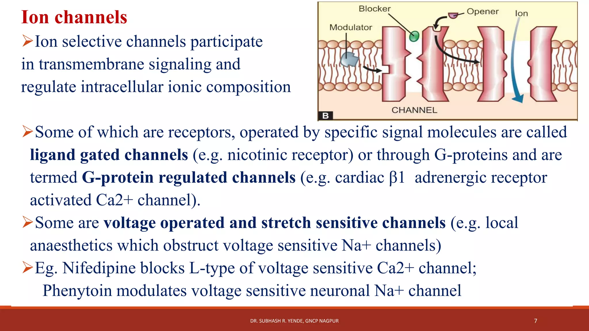 Pharmacology I pharmacodynamics I (Mechanism of Drug Action) | PPTX