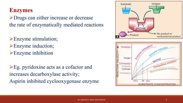 Pharmacology I pharmacodynamics I (Mechanism of Drug Action) | PPTX