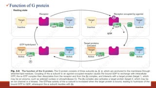 Pharmacology I pharmacodynamics II (Receptors) | PPTX