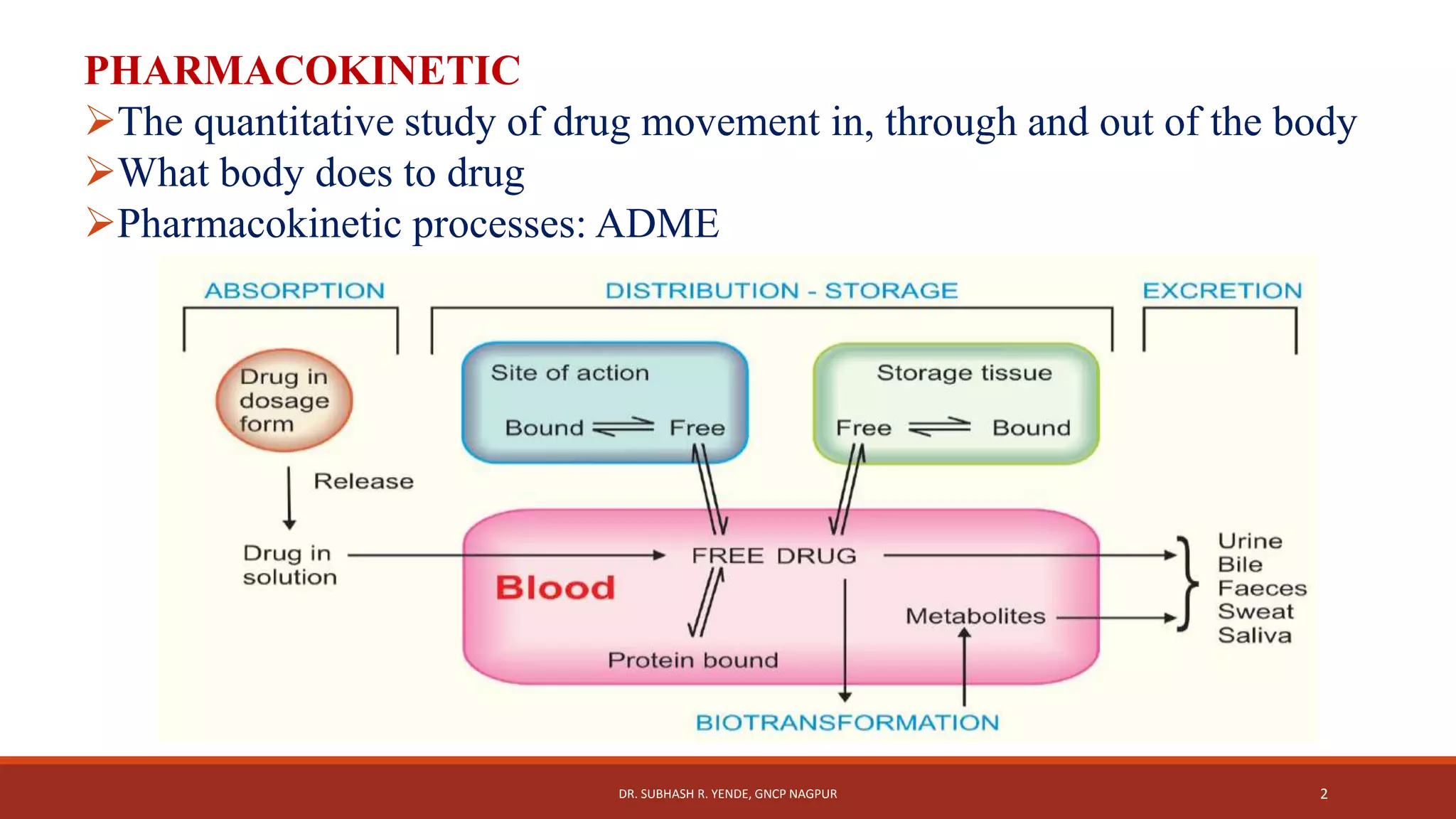 Pharmacology I- Pharmacokinetics (Absorption and Distribution) | PPTX