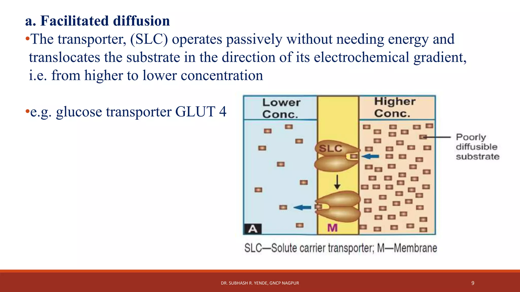 Pharmacology I- Pharmacokinetics (Absorption and Distribution) | PPTX