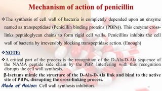 Pharmacology II Chapter 1 ppt -.pptx
