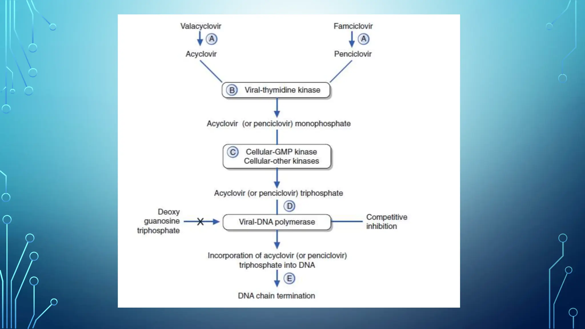 PHARMACOLOGY in Std(Drugs and their action in sexually transmitted ...