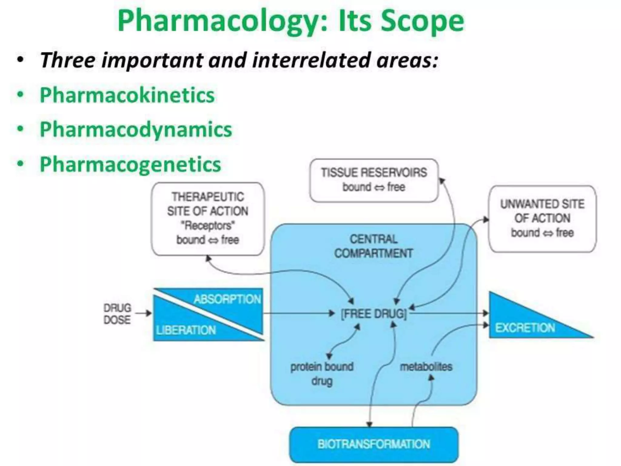 Pharmacology Introduction.pptx