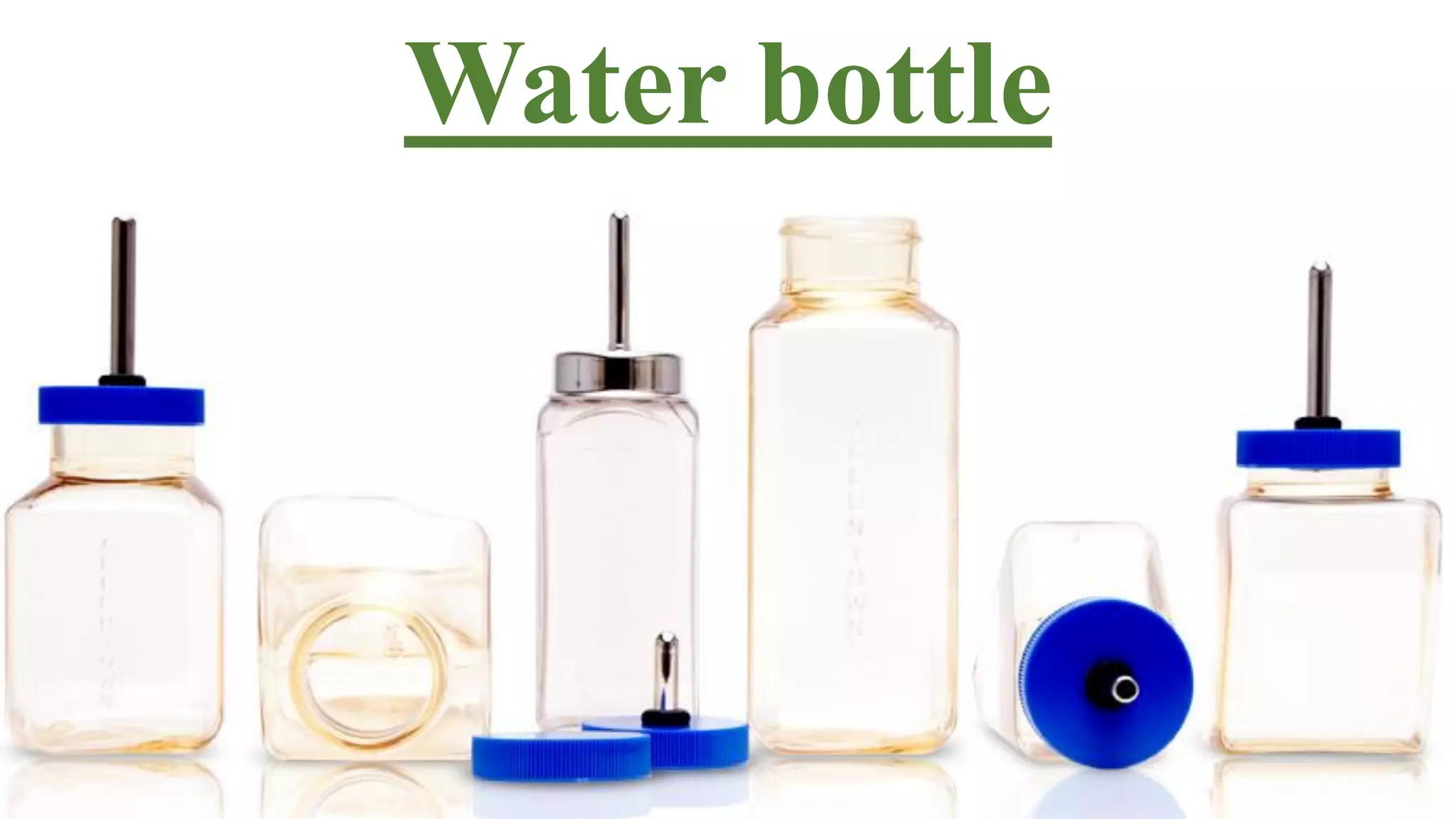 Pharmacology (introduction and handling of experimental animals) | PDF