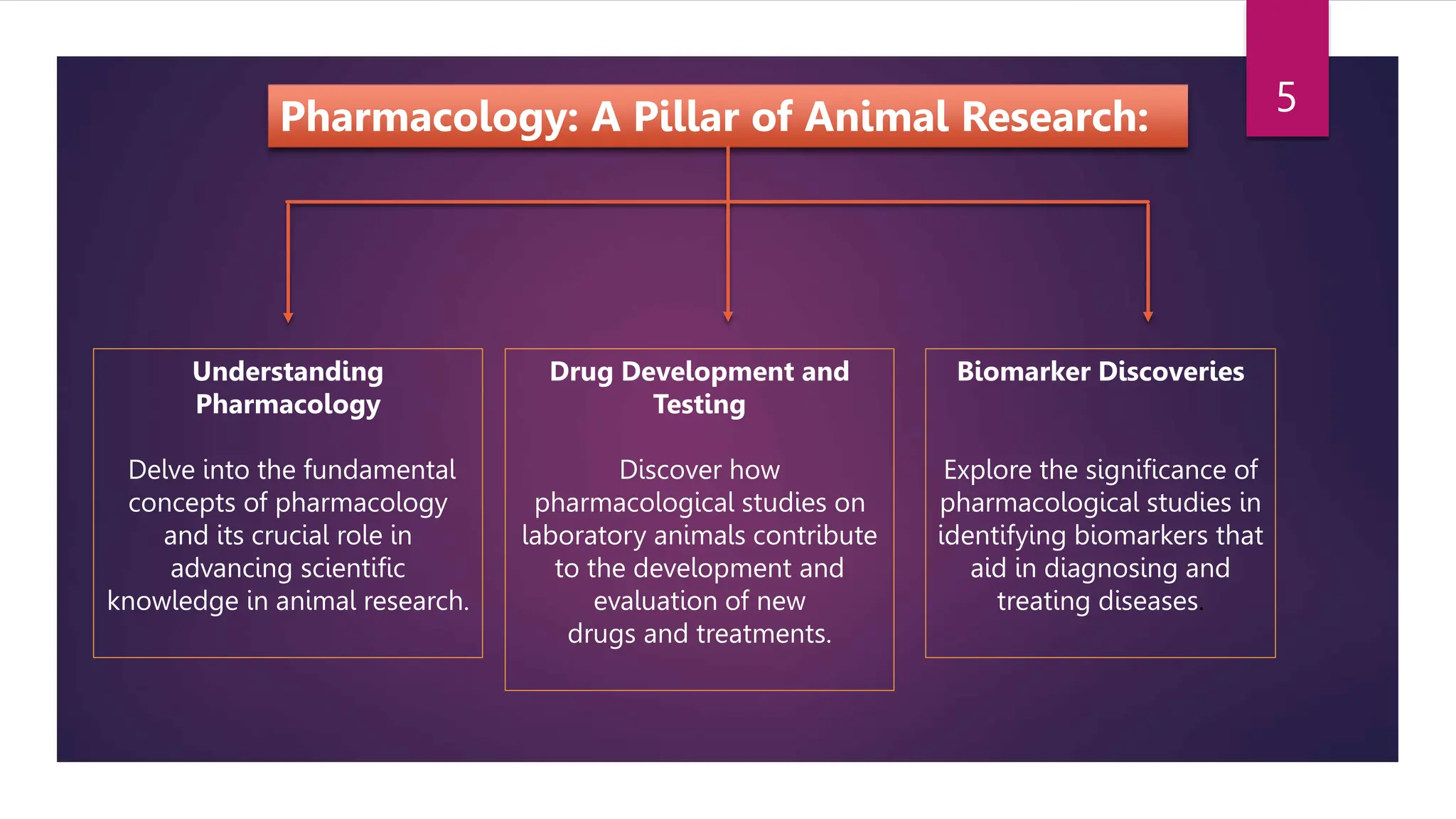 Pharmacology Laboratory Animals.pptx