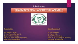 Pharmacology Laboratory Animals.pptx