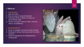 Pharmacology Laboratory Animals.pptx