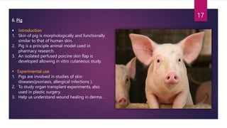 Pharmacology Laboratory Animals.pptx