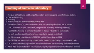Pharmacology Laboratory Animals.pptx