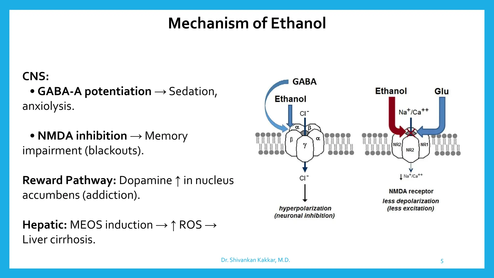 Pharmacology of Ethyl and Methyl Alcohol: Mechanisms, Kinetics, and ...