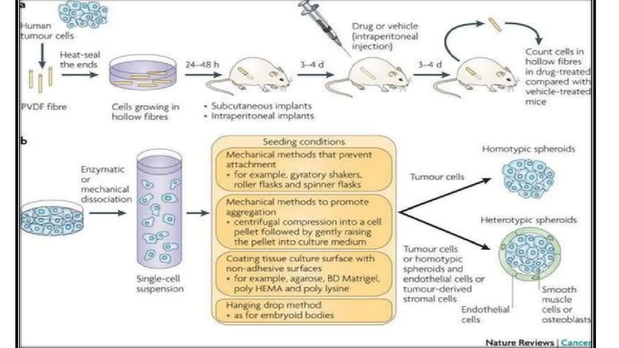 PHARMACOLOGY OF ANTICANCER DRUGS.pptx