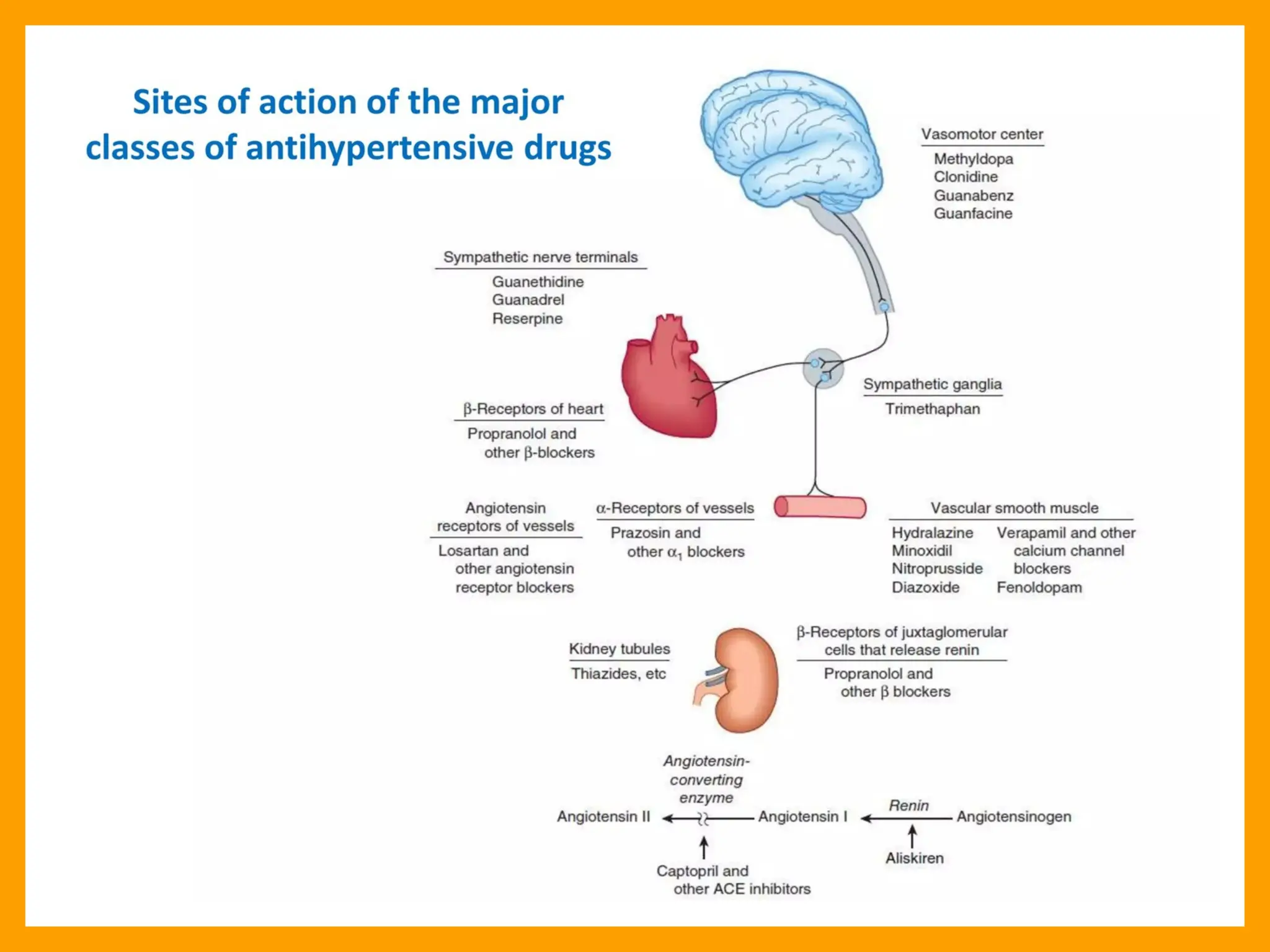 Pharmacology Of Antihypertensive Drugs Pptx