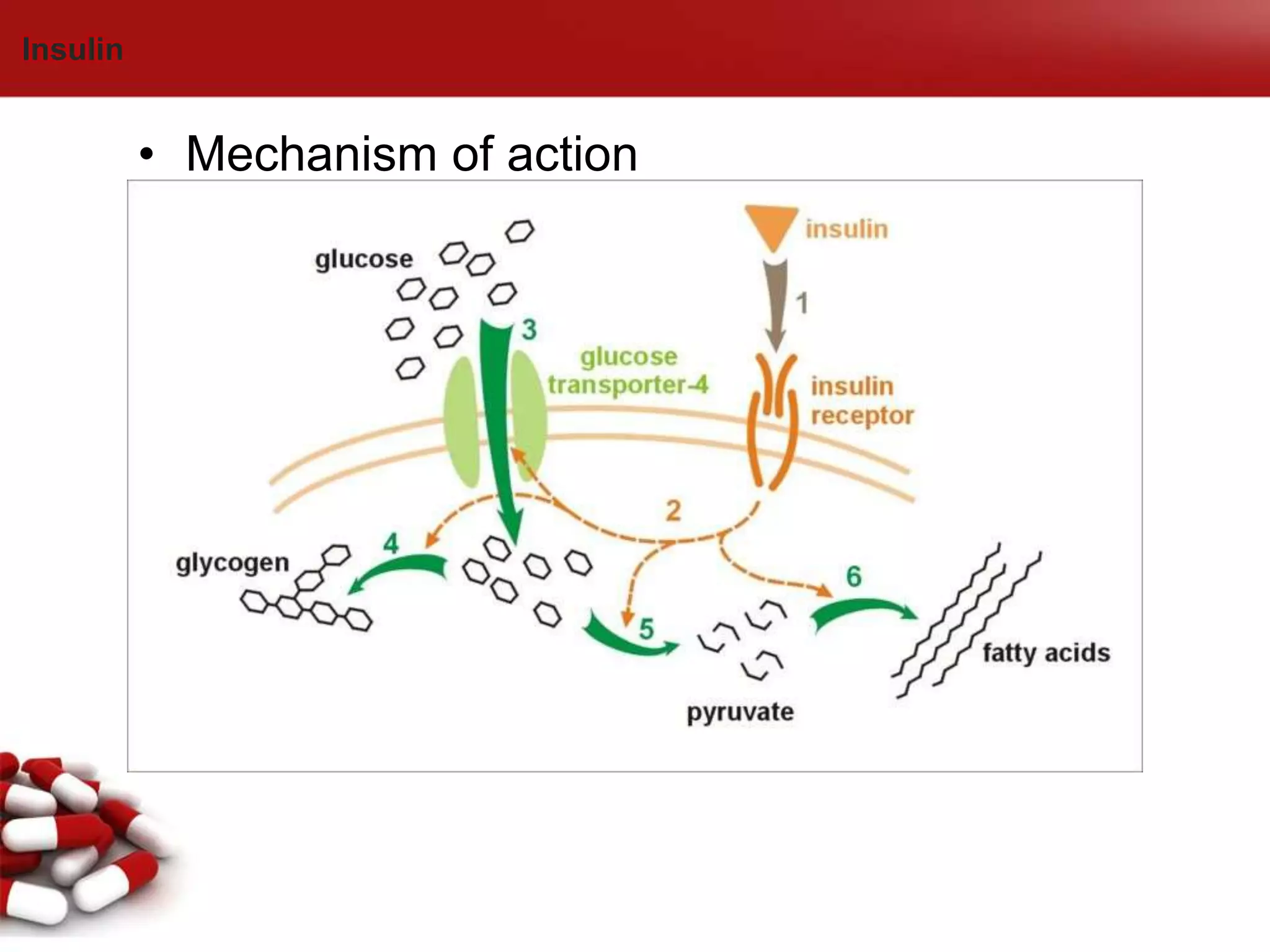 Pharmacology of diabetes mellitus | PPTX