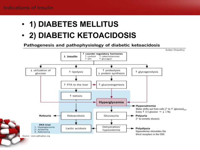 Pharmacology of diabetes mellitus | PPTX | Diabetes | Diseases and ...
