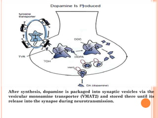 Pharmacology of dopamine | PPTX