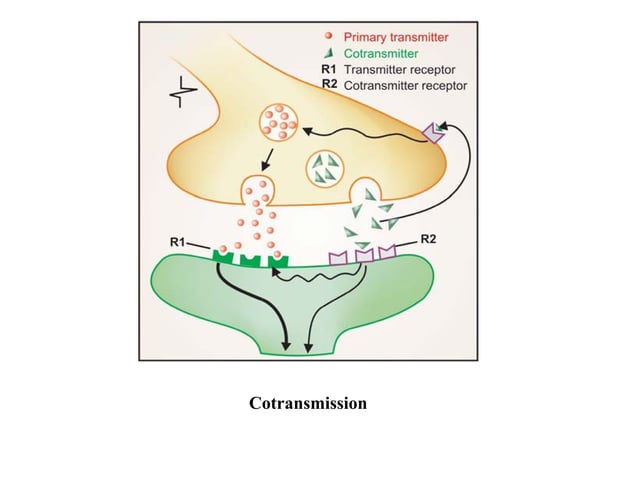 Pharmacology of drug acting on Peripheral Nervous System.pptx