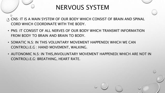PHARMACOLOGY OF DRUGS ACTING ON PERIPHERAL NERVOUS SYSTEM.pptx | Brain and Nervous System ...