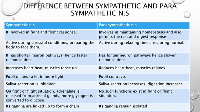PHARMACOLOGY OF DRUGS ACTING ON PERIPHERAL NERVOUS SYSTEM.pptx | Brain and Nervous System ...