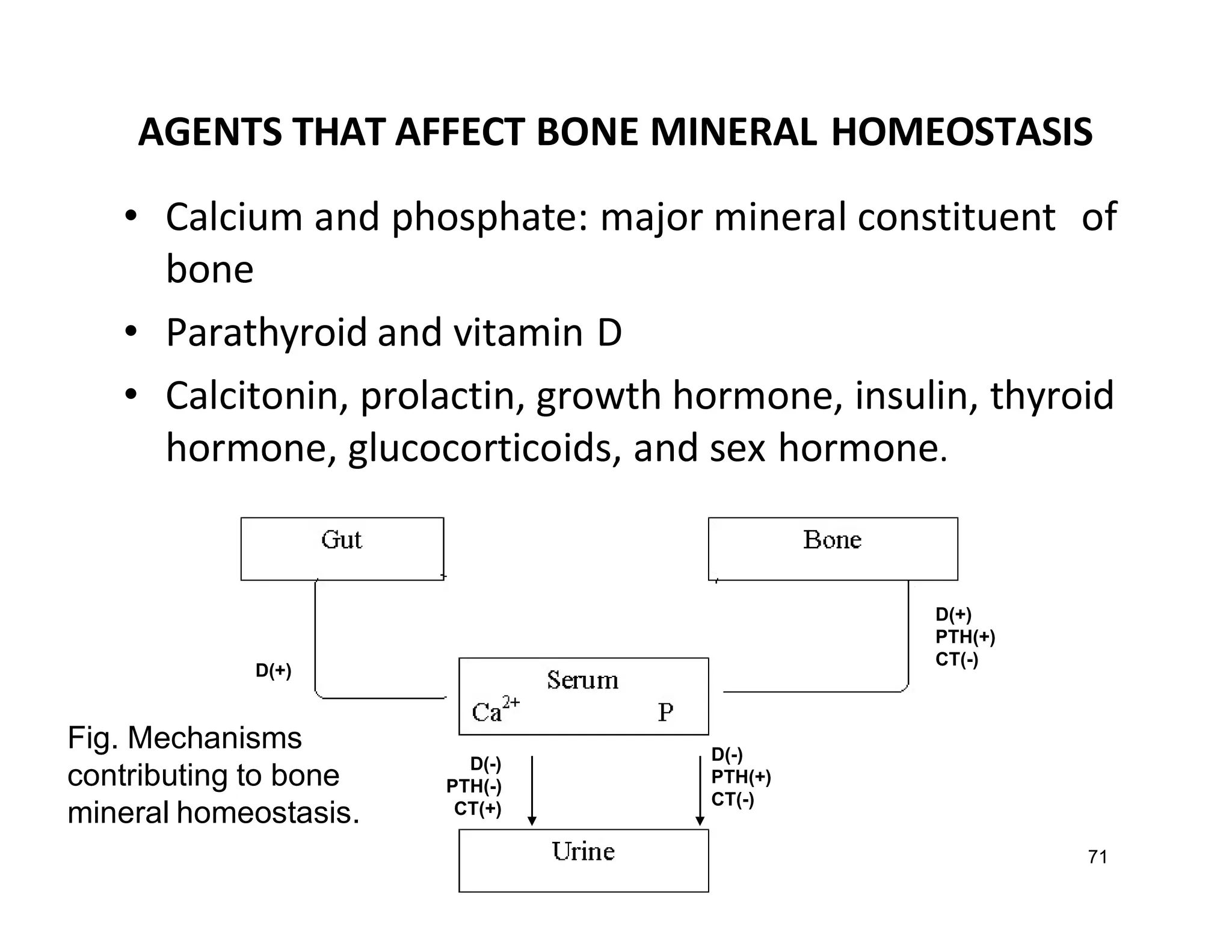 Pharmacology of Drugs affecting calcium regulation & Pharmacology of Corticosteroids | PDF