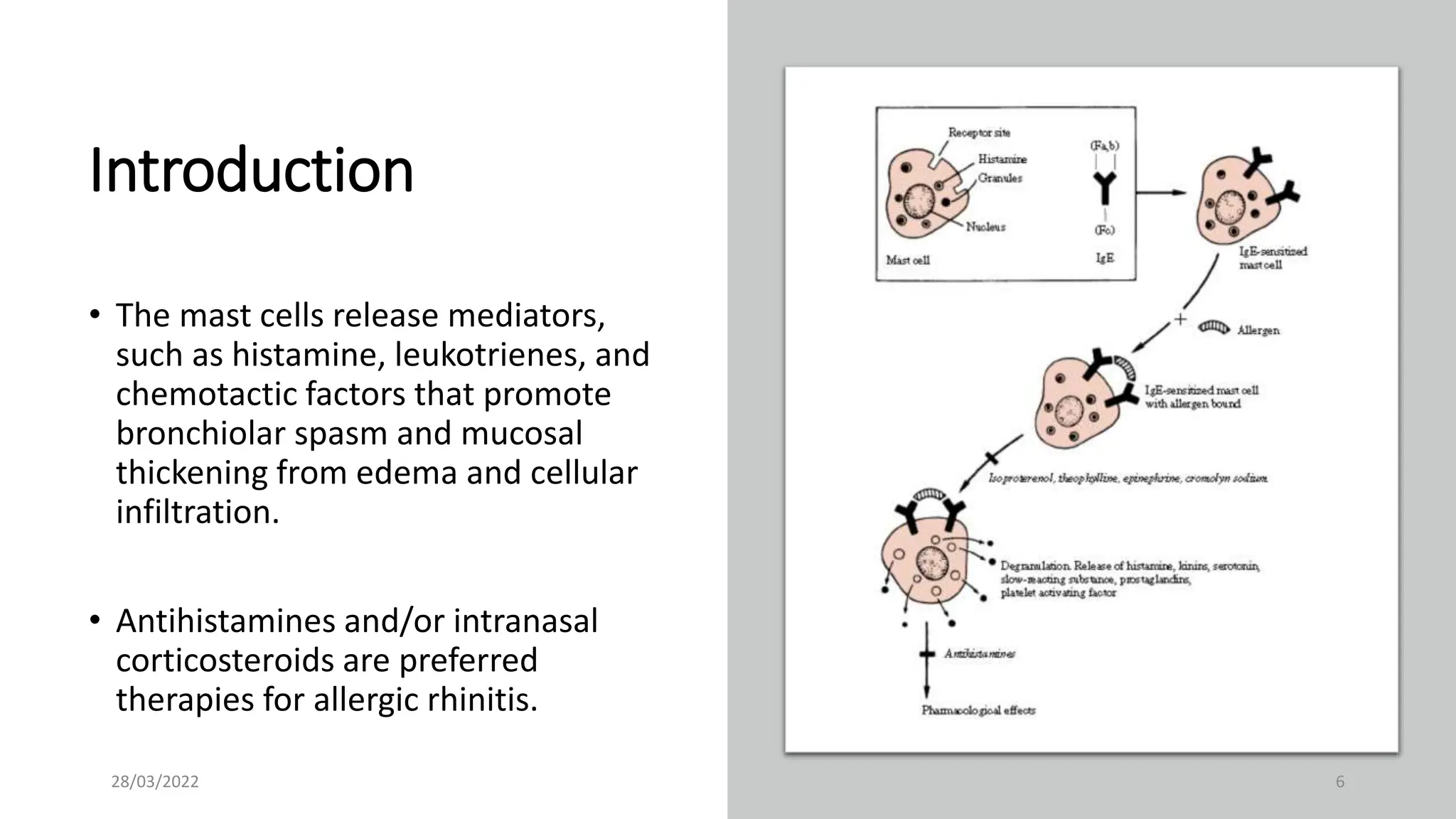 Pharmacology of drugs for allergic rhinitis and common.pptx