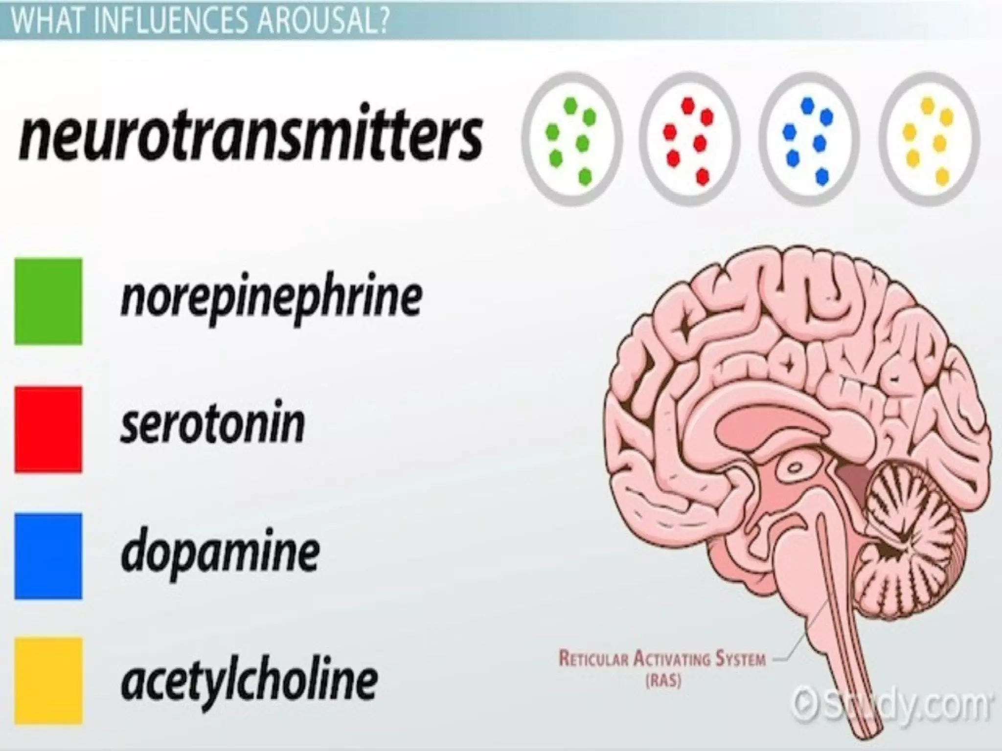 Pharmacology of drugs used in mania | PPT