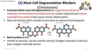 Pharmacology of Drugs Used to Treat Asthma | PDF