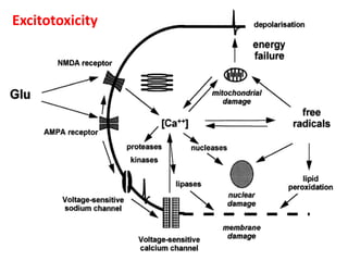 Pharmacology of hypothermia | PPTX