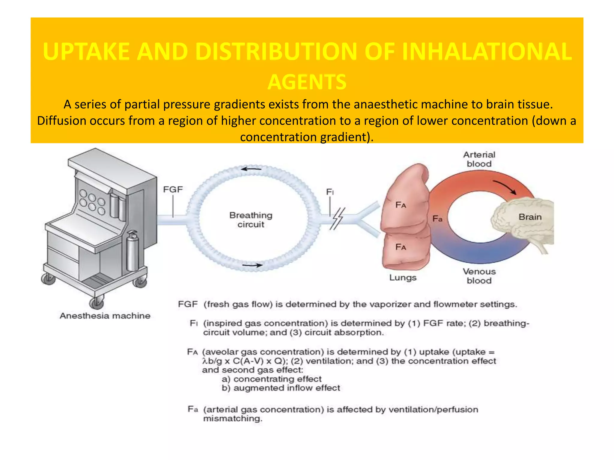 Pharmacology of inhalational agents | PPTX