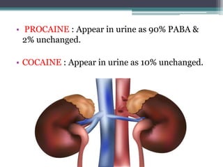 Pharmacology of local anesthetics | PPTX