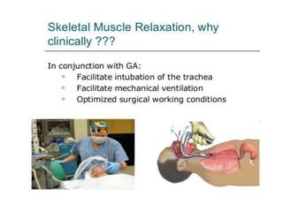 Pharmacology of muscle relaxants | PPTX