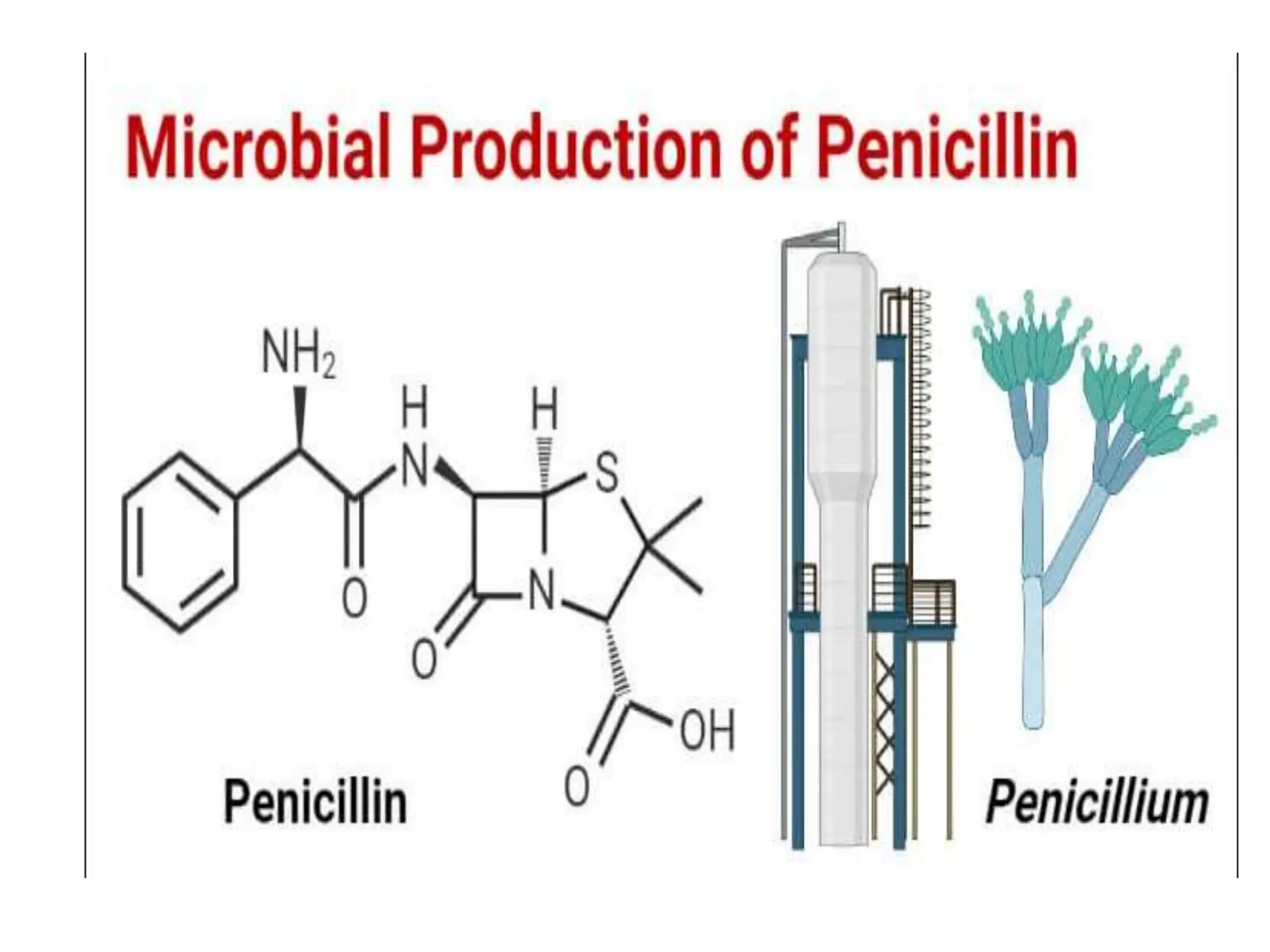 Pharmacology of Penicillin bsc nurs.pptx