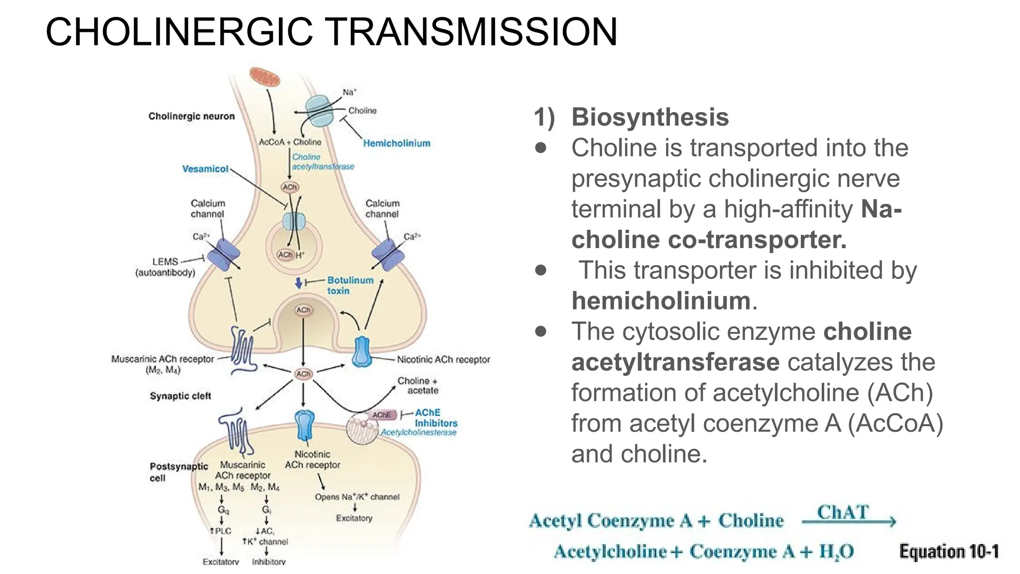 PHARMACOLOGY OF PERIPHERAL NERVOUS SYSTEM.pptx