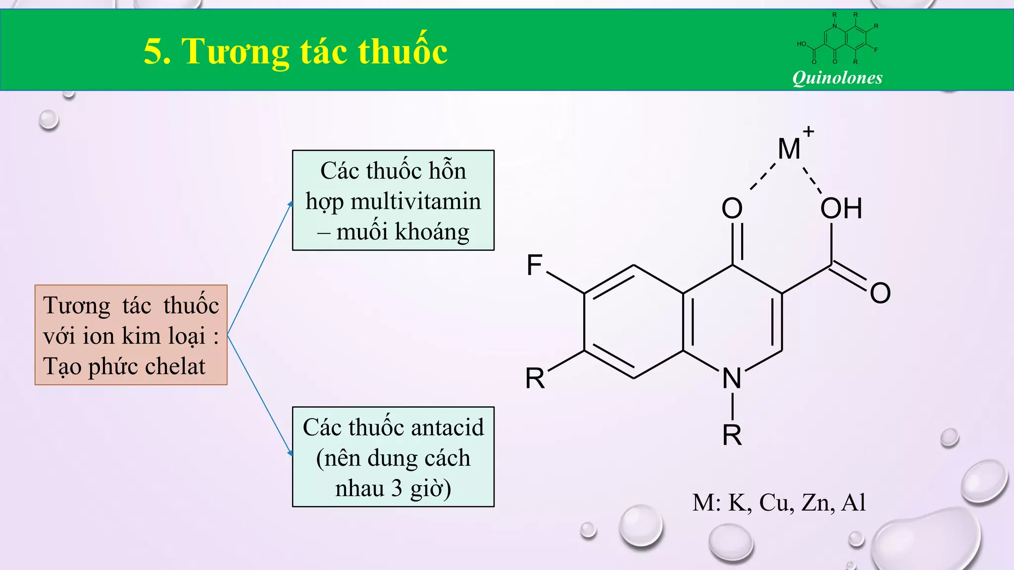 Pharmacology of Quinolone antibiotics - Dược lý kháng sinh nhóm ...