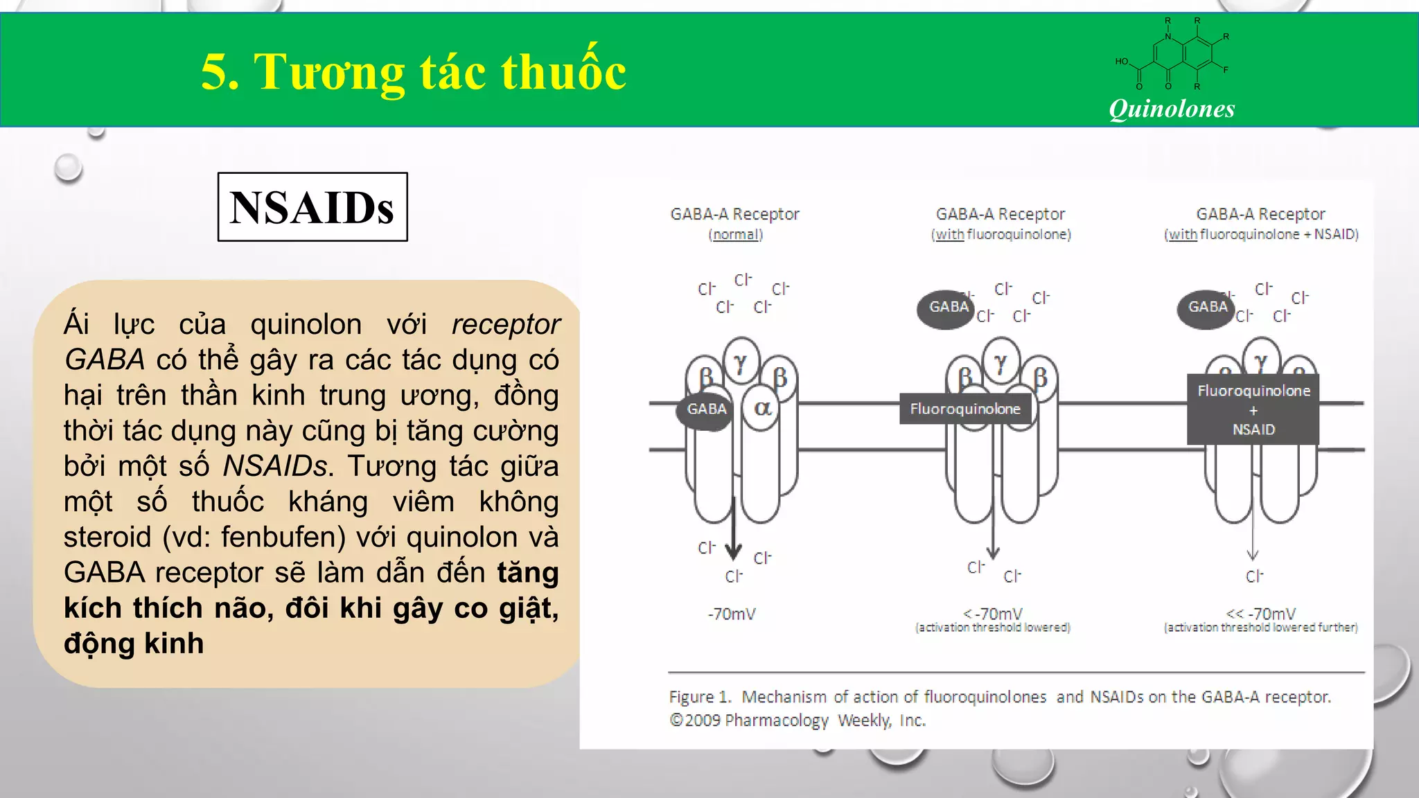 Pharmacology of Quinolone antibiotics - Dược lý kháng sinh nhóm ...