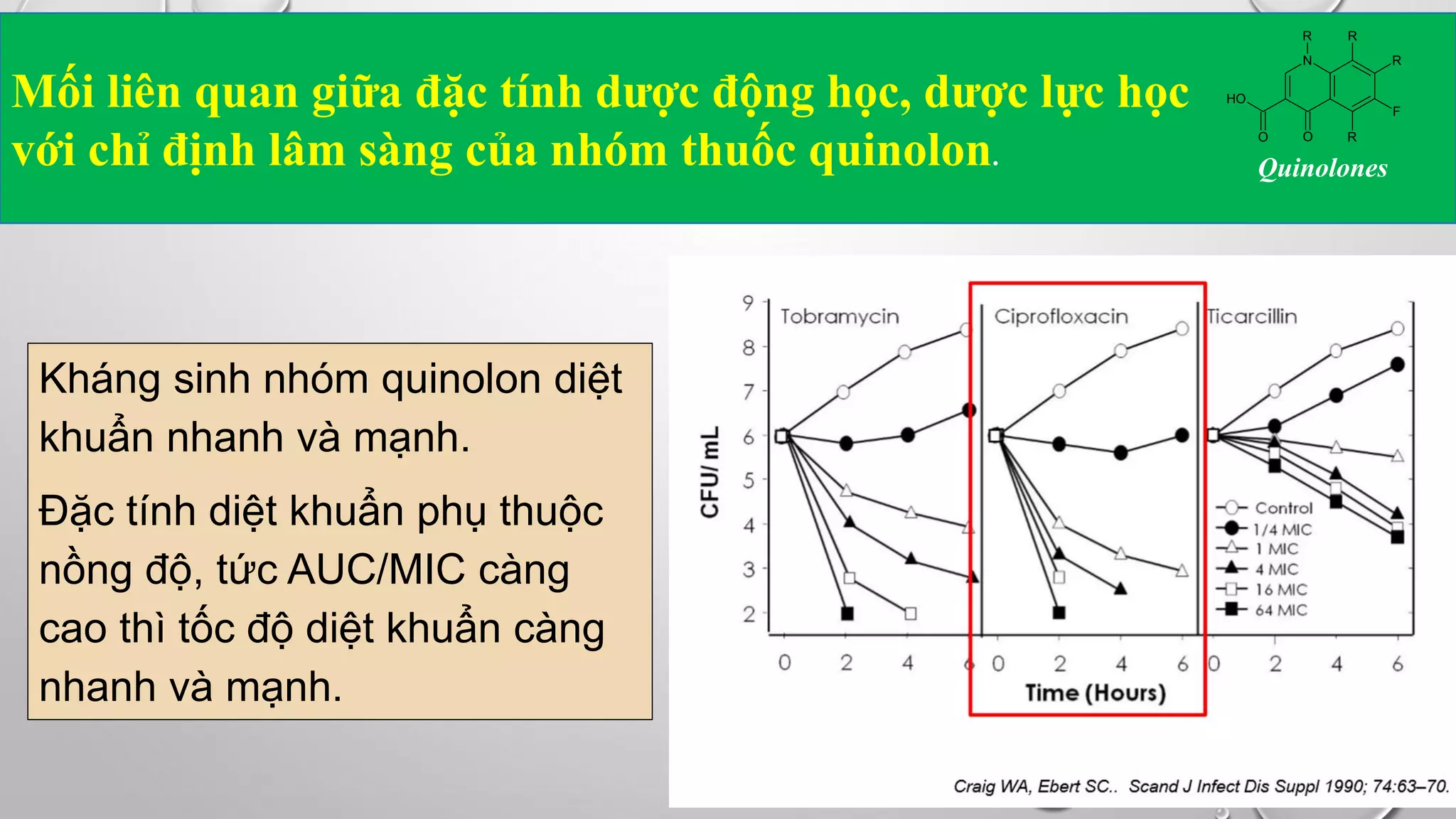 Pharmacology of Quinolone antibiotics - Dược lý kháng sinh nhóm ...