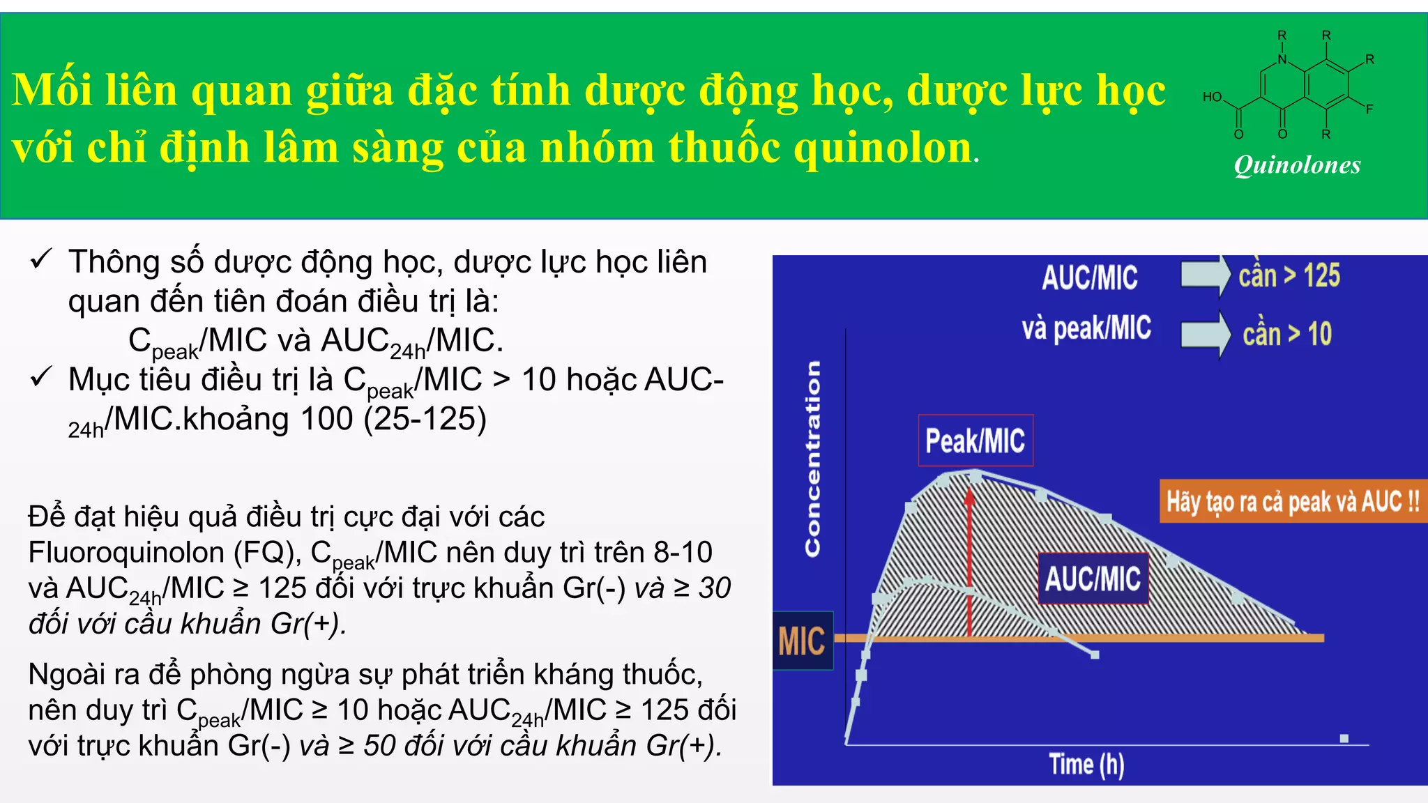 Pharmacology of Quinolone antibiotics - Dược lý kháng sinh nhóm ...