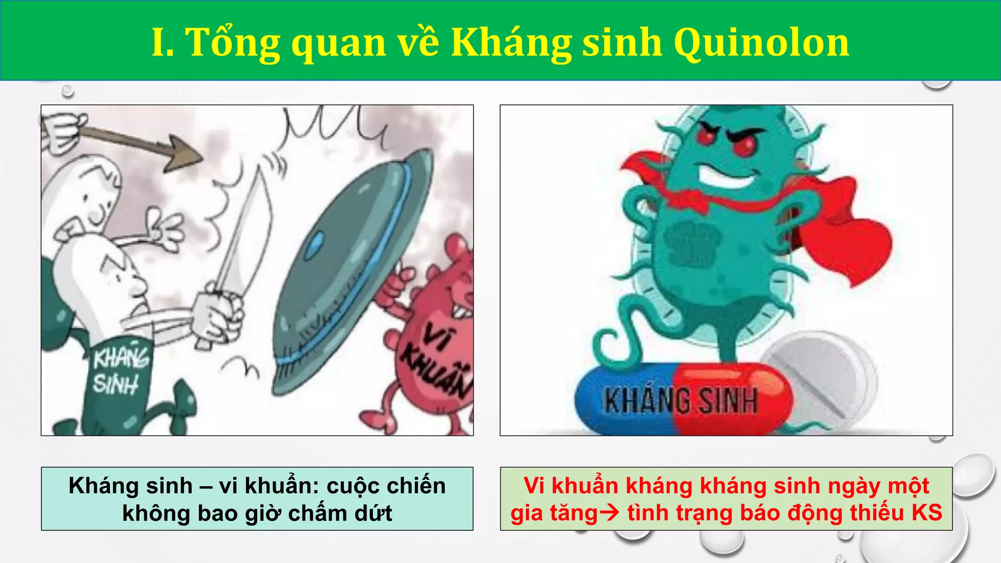 Pharmacology of Quinolone antibiotics - Dược lý kháng sinh nhóm ...