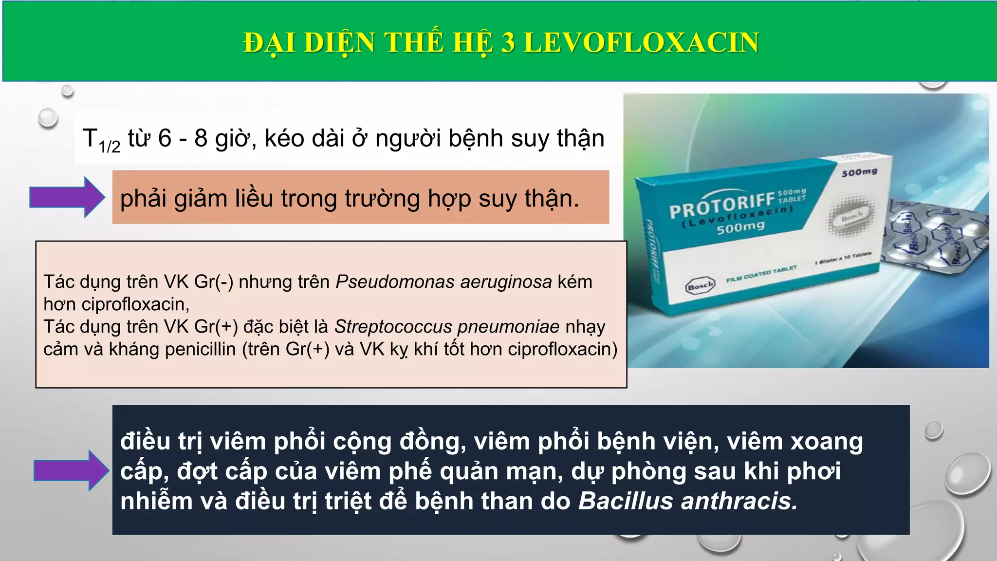 Pharmacology of Quinolone antibiotics - Dược lý kháng sinh nhóm ...