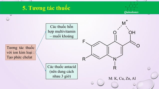 Pharmacology of Quinolone antibiotics - Dược lý kháng sinh nhóm ...