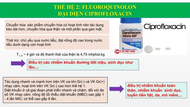 Pharmacology of Quinolone antibiotics - Dược lý kháng sinh nhóm ...