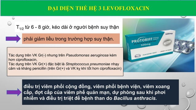 Pharmacology of Quinolone antibiotics - Dược lý kháng sinh nhóm ...