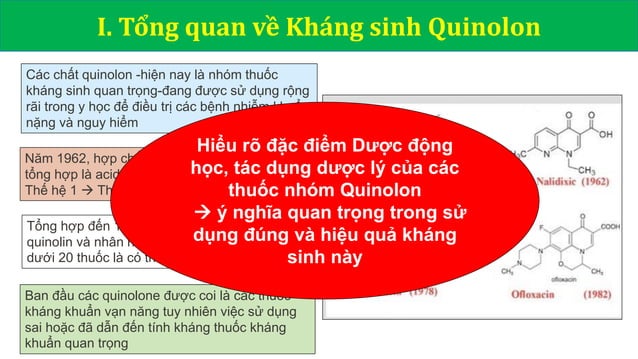 Pharmacology of Quinolone antibiotics - Dược lý kháng sinh nhóm ...