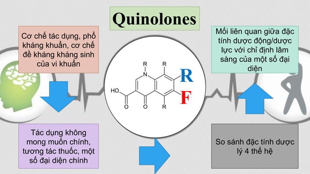 Pharmacology of Quinolone antibiotics - Dược lý kháng sinh nhóm ...