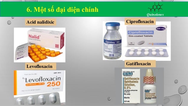 Pharmacology of Quinolone antibiotics - Dược lý kháng sinh nhóm Quino…