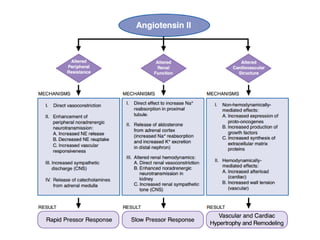 PHARMACOLOGY OF RENIN ANGIOTENSIN SYSTEM.pdf