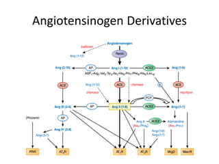 PHARMACOLOGY OF RENIN ANGIOTENSIN SYSTEM.pdf