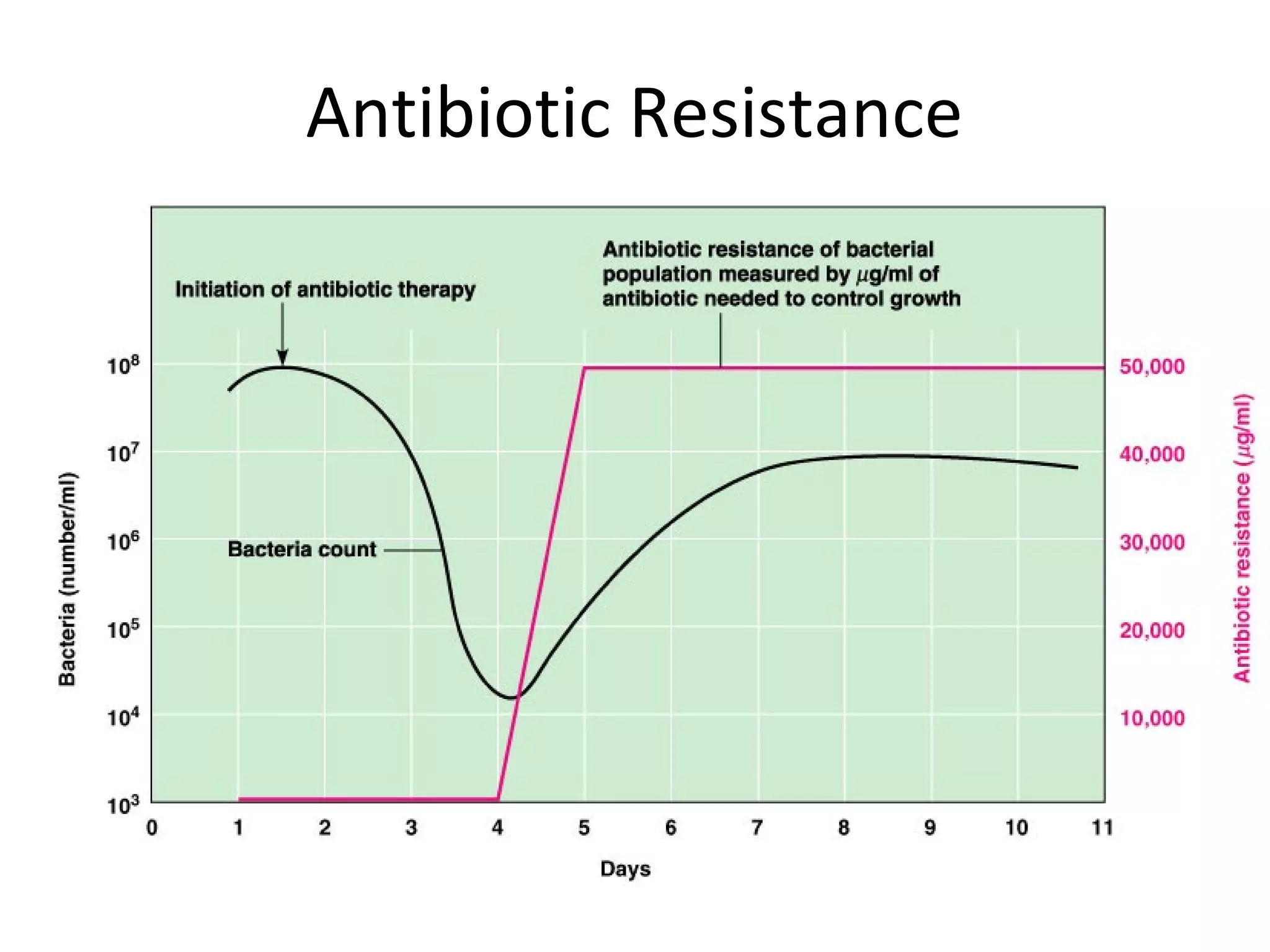 Pharmacology of Antibiotics | PPT