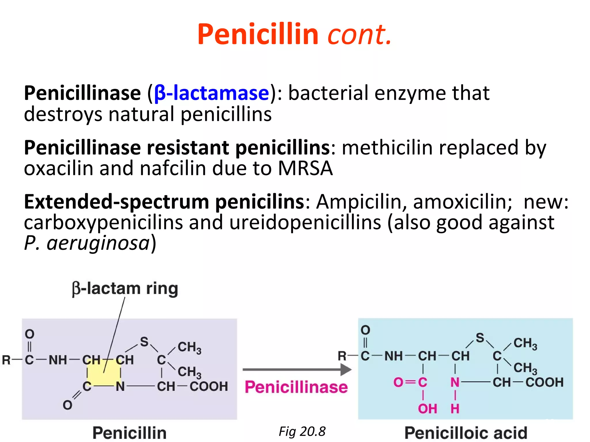 Pharmacology of Antibiotics | PPT