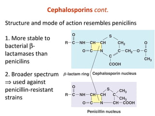 Pharmacology of Antibiotics | PPT